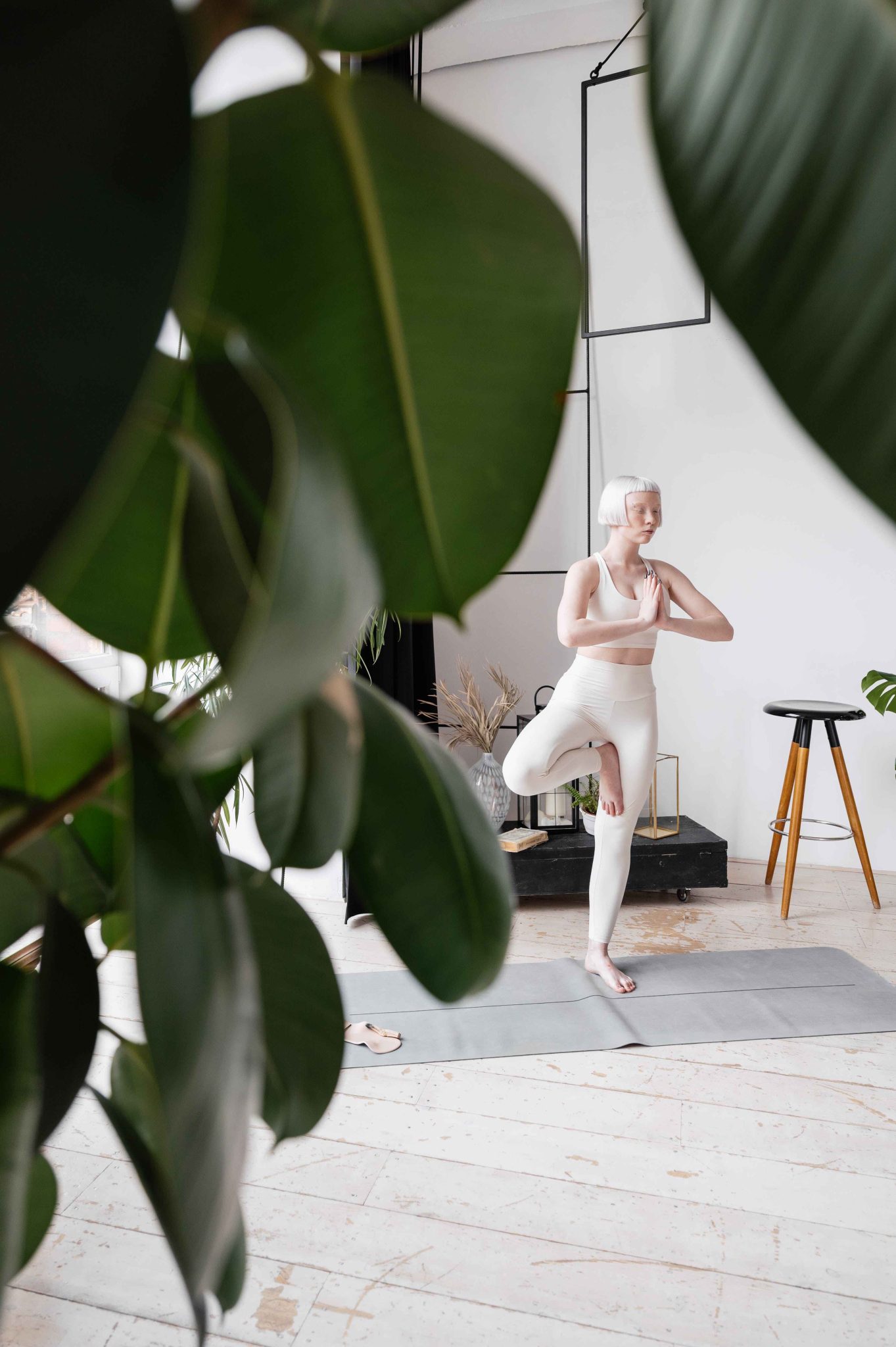 How to choose the right adaptogen for your needs? - The VitaminLab Blog